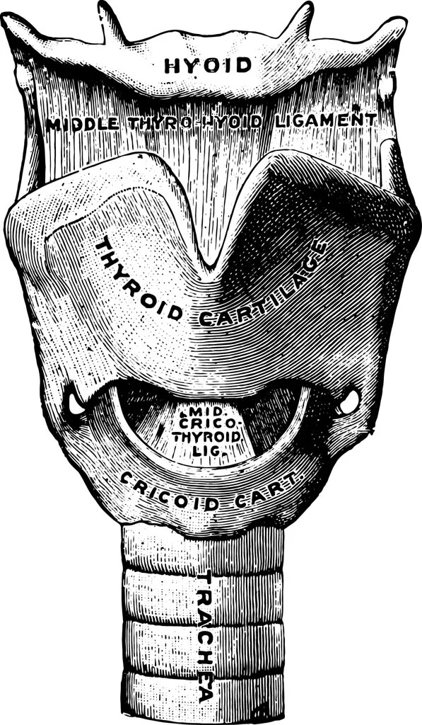 About CEMED and Dr Jesse Kumar's Endocrine wellness concept in clinics